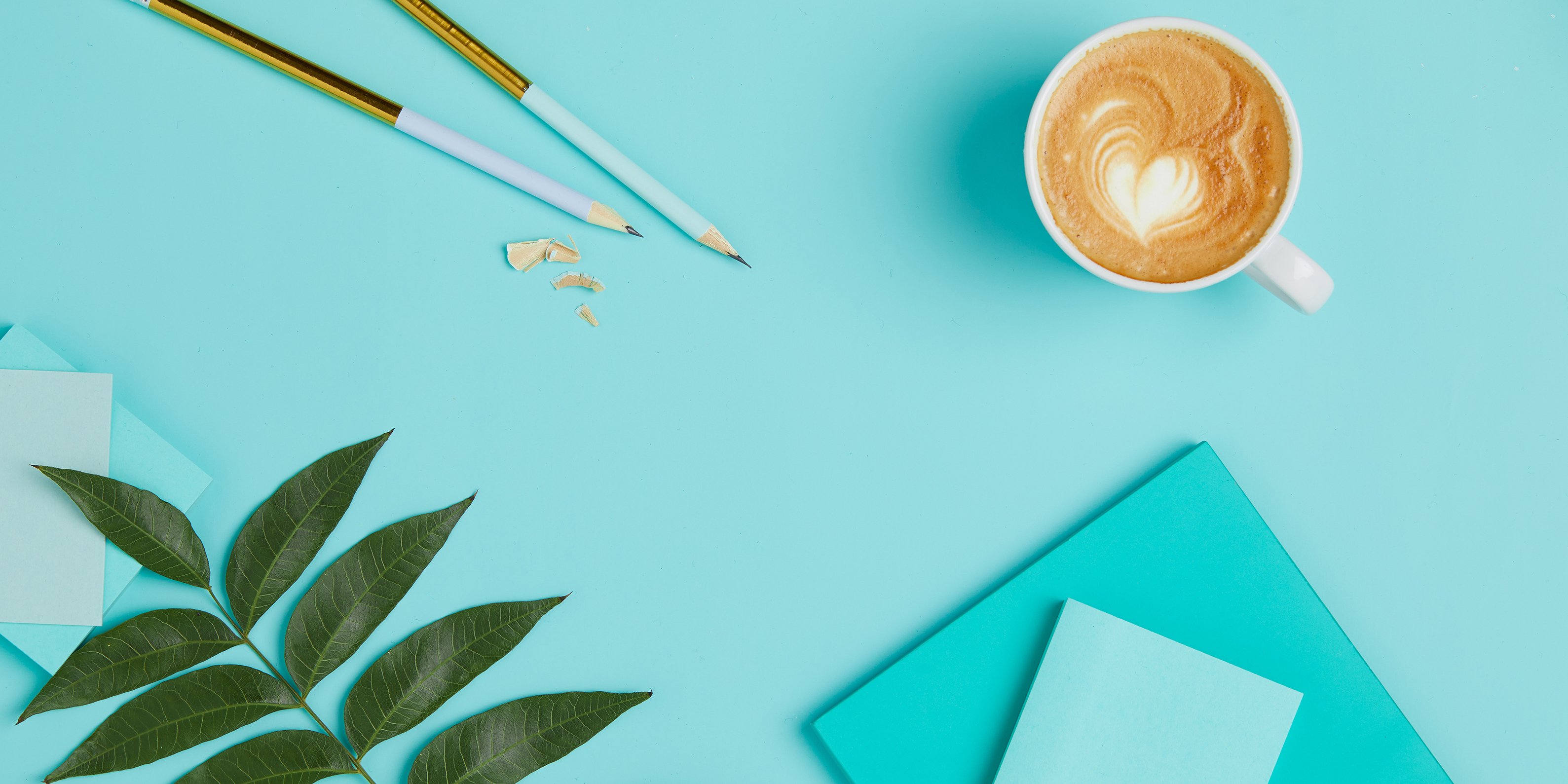 How To Download Canva Picture To Picture On Phone Babestide