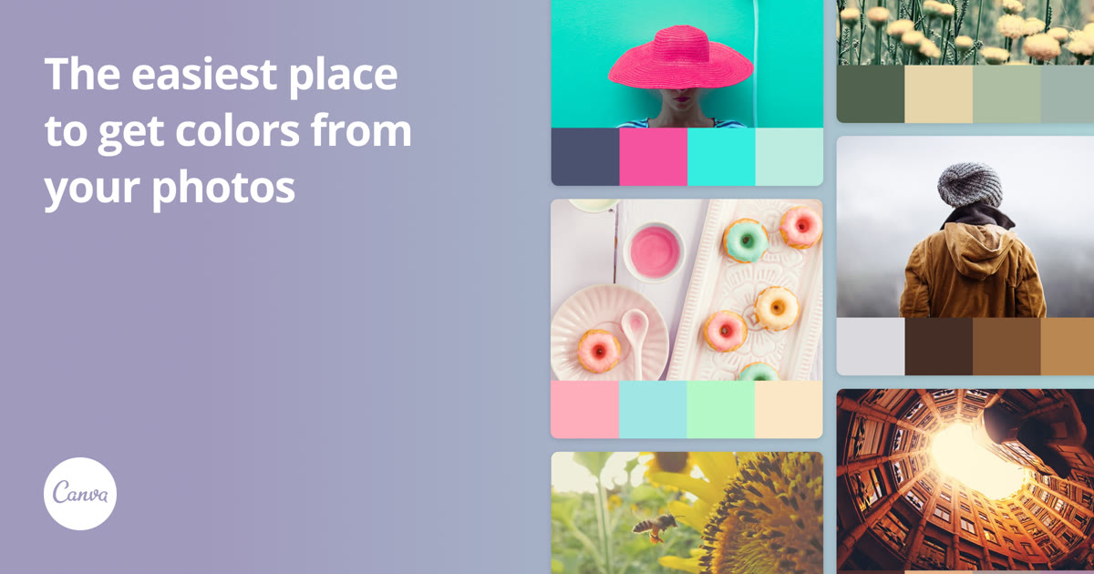 Color Palette Generator Canva Colors