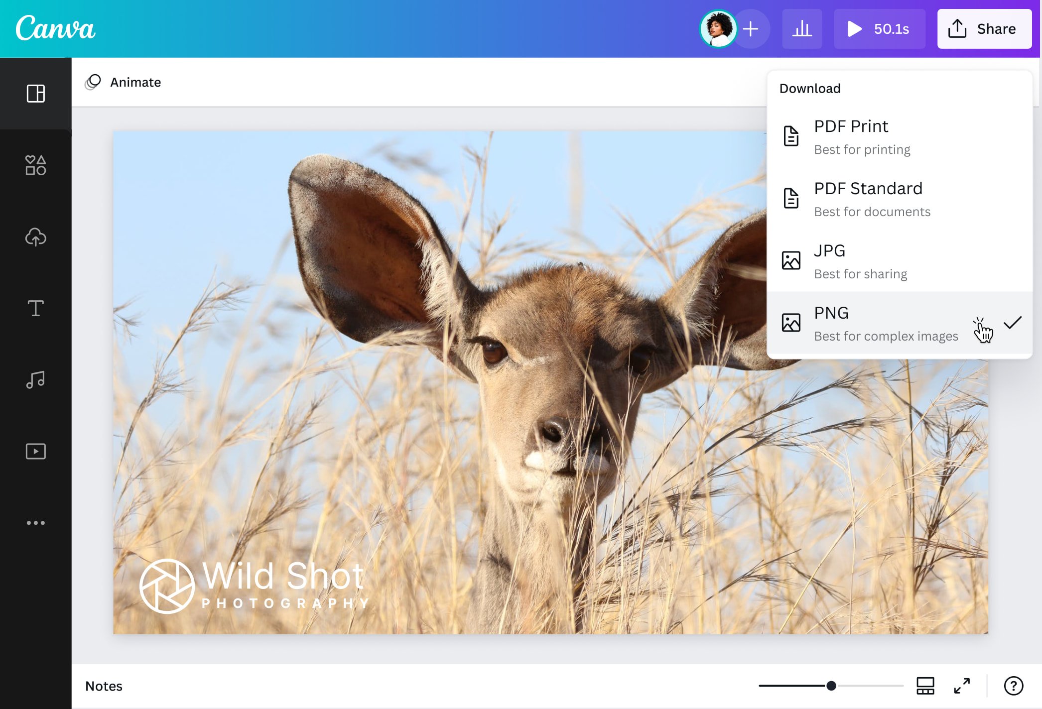 Filigrane : protéger vos photos avec un filigrane design | Canva
