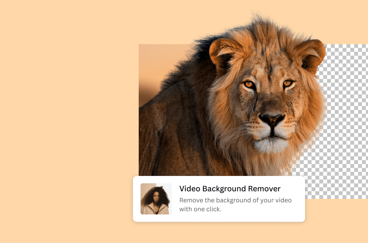 Complete Guide To How To Remove Video Background In Canva For Free