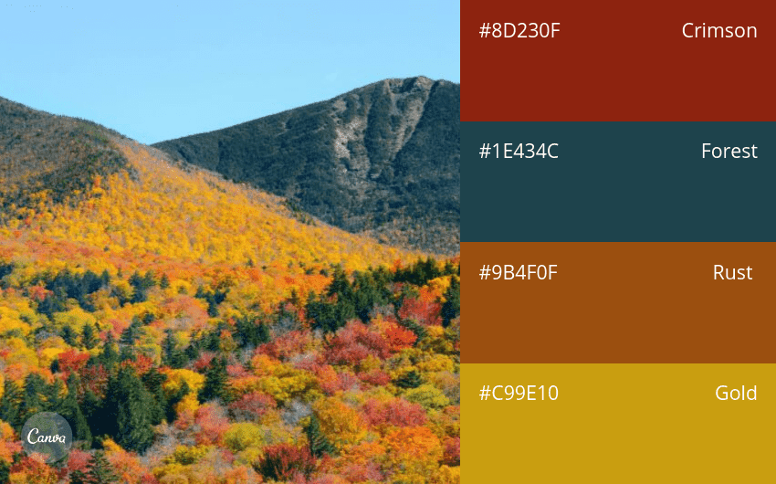 100 combinaisons de couleurs inspirantes (+ générateur de palettes de ...