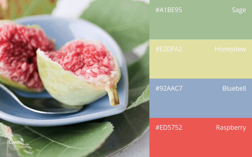 100 combinaisons de couleurs inspirantes (+ générateur de palettes de ...