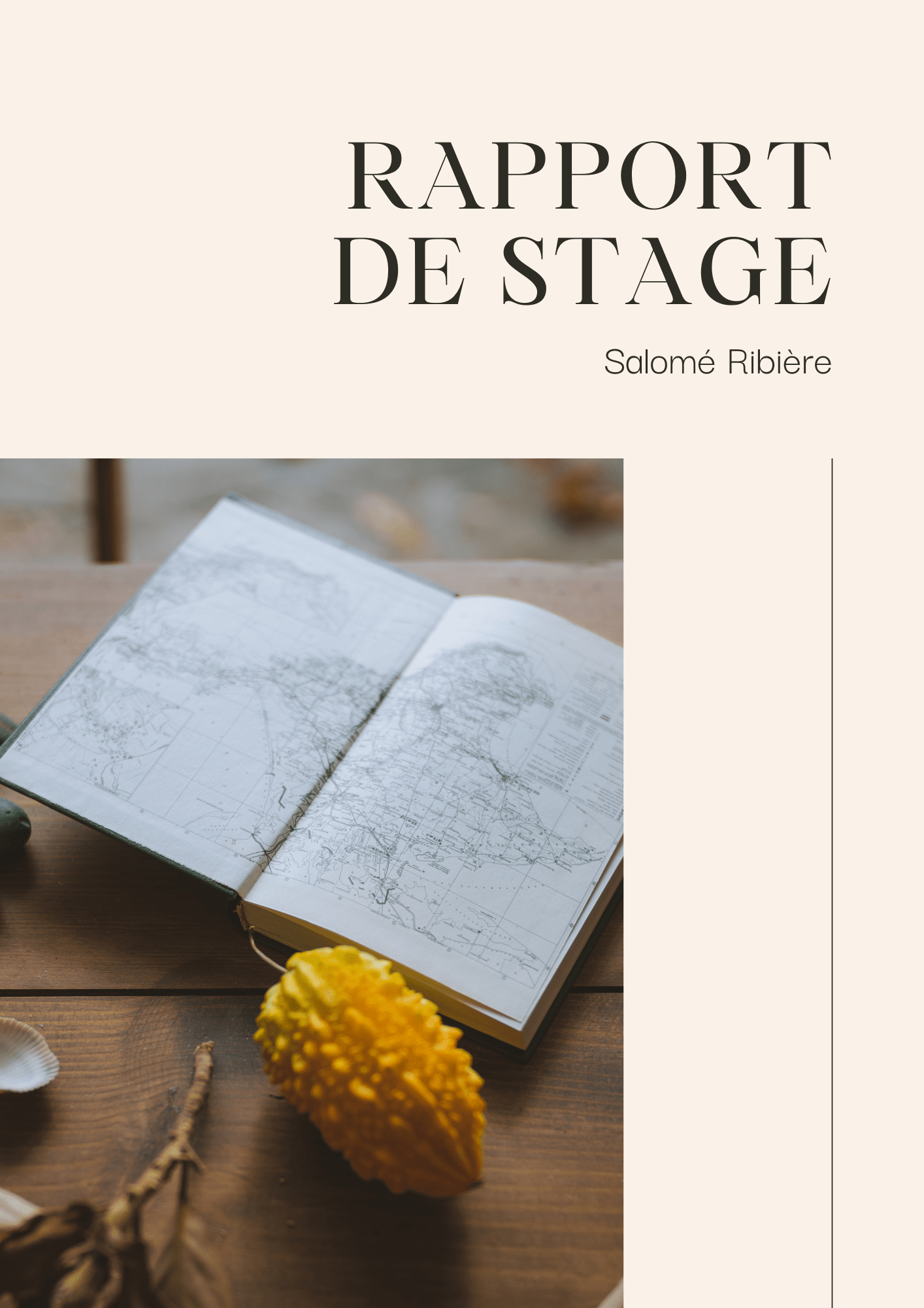 Rapport De Stage 10 Mod les Gratuits Et Efficaces Canva