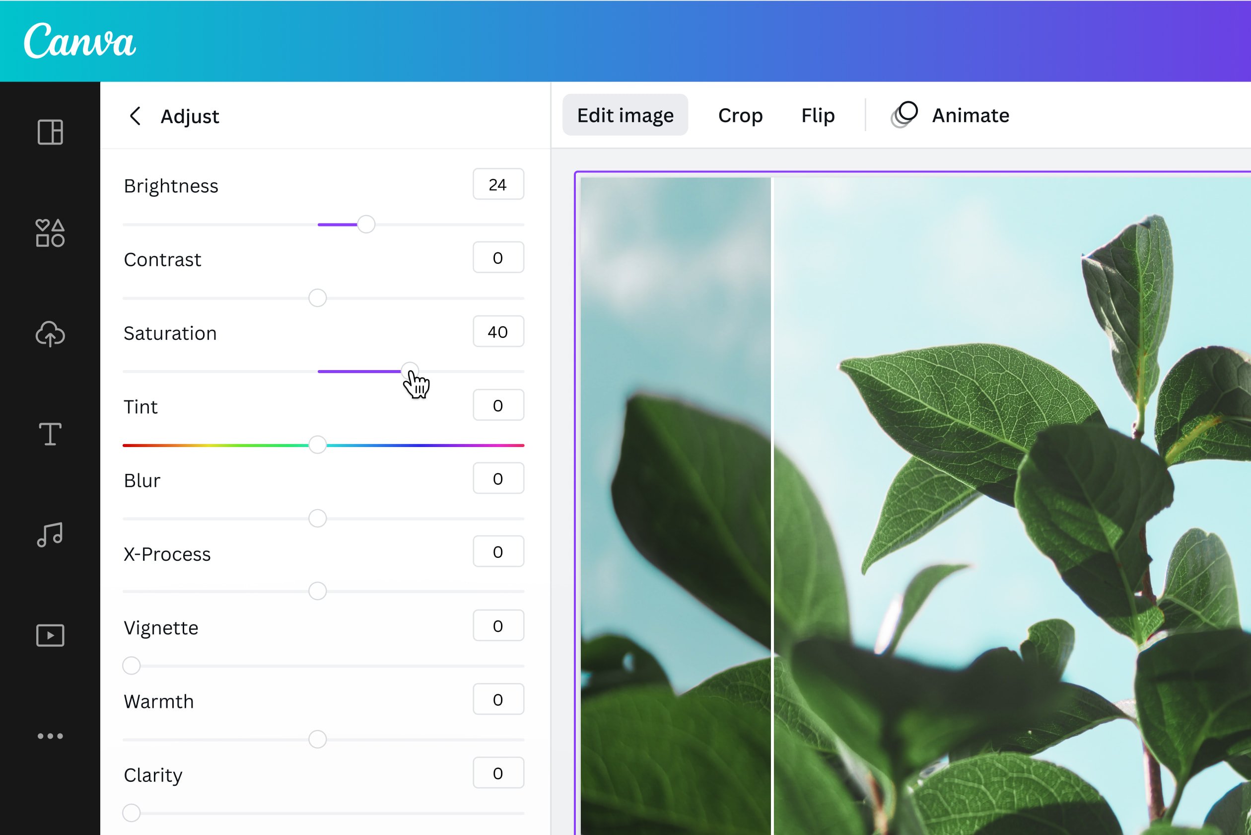 Da HEIC a JPG: Convertire HEIC in JPG online gratis | Canva