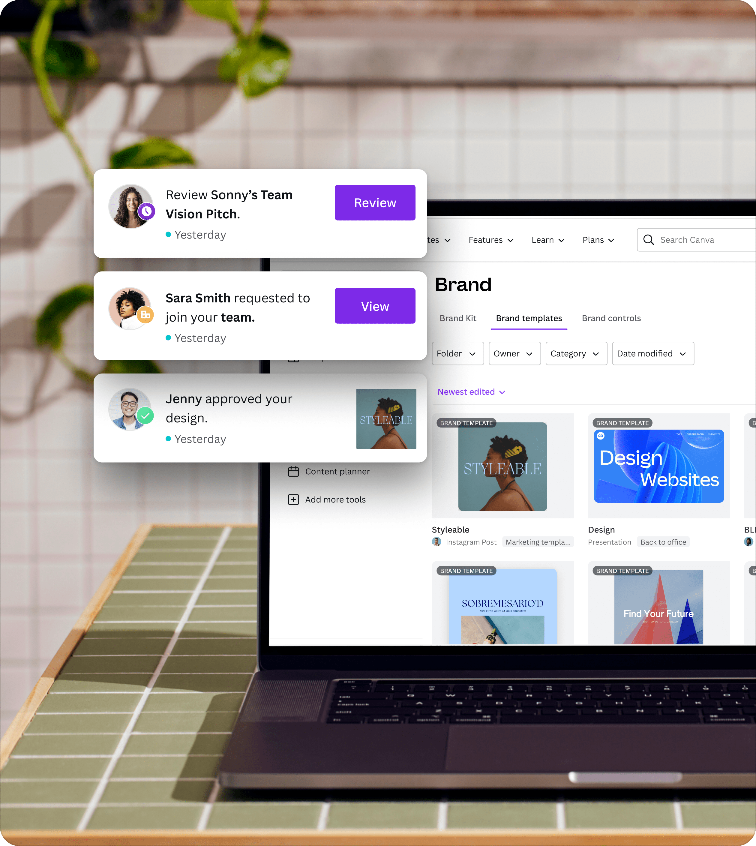 Canva for Creatives: Design Stellar Branded Content with Ease
