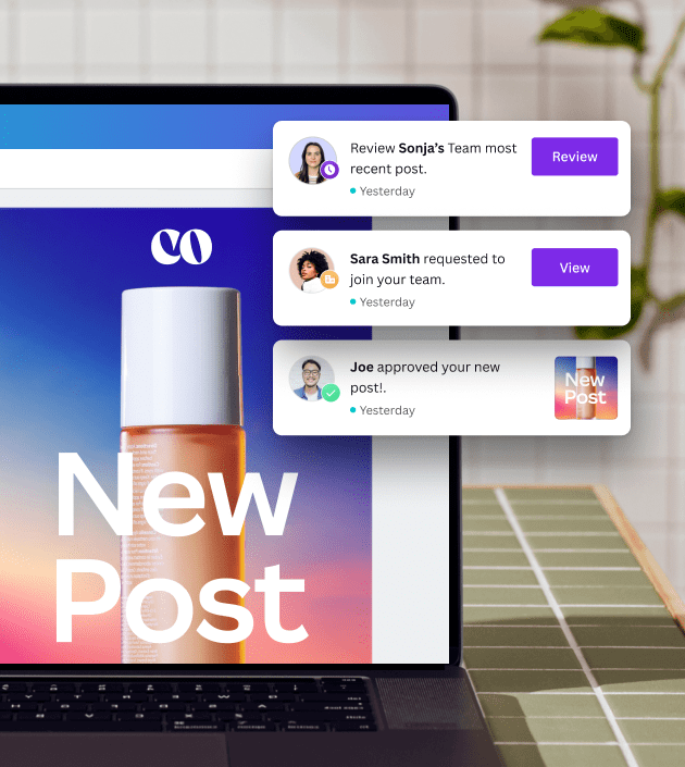 Social Media Marketing & Design Tools for Agencies | Canva