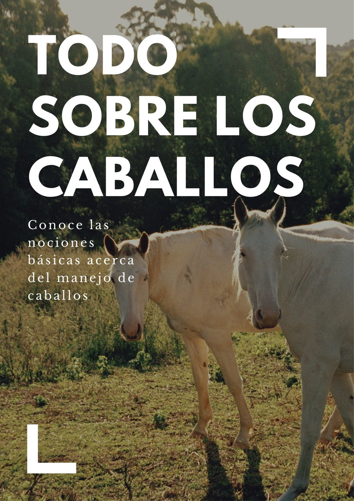 Crea carteles de animales personalizados gratis - Canva