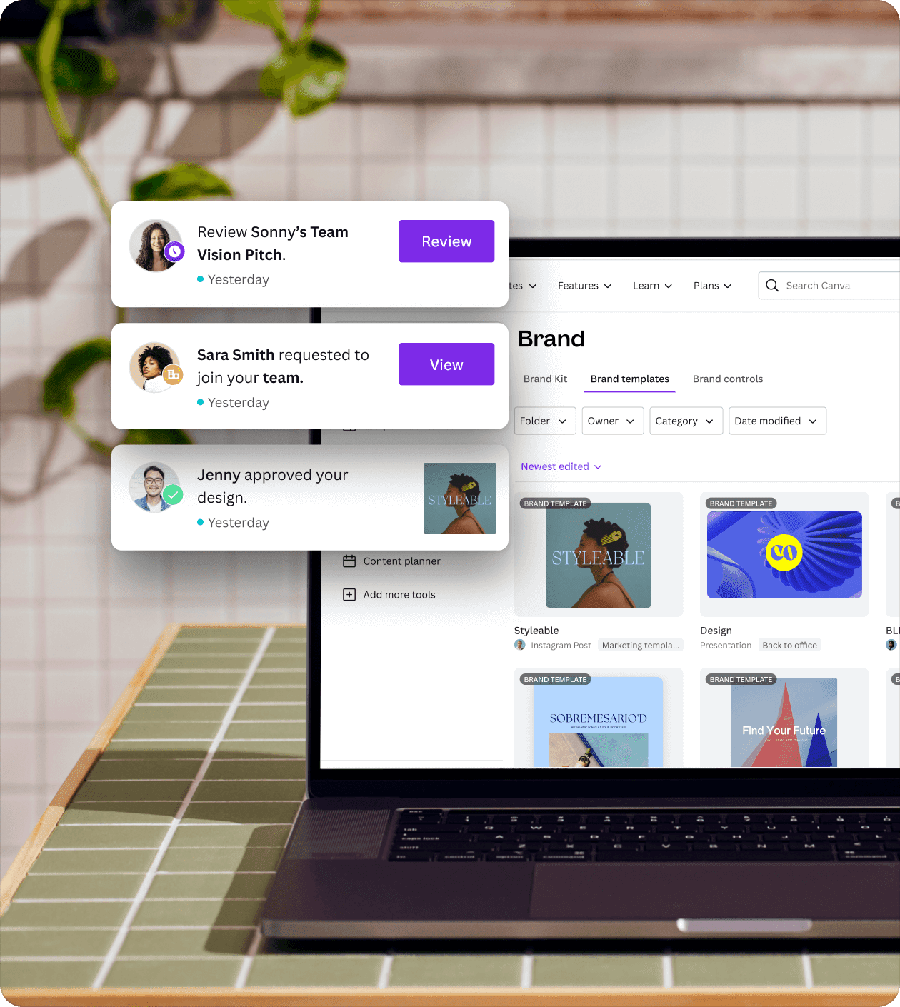 Canva for Creatives: Design Stellar Branded Content with Ease