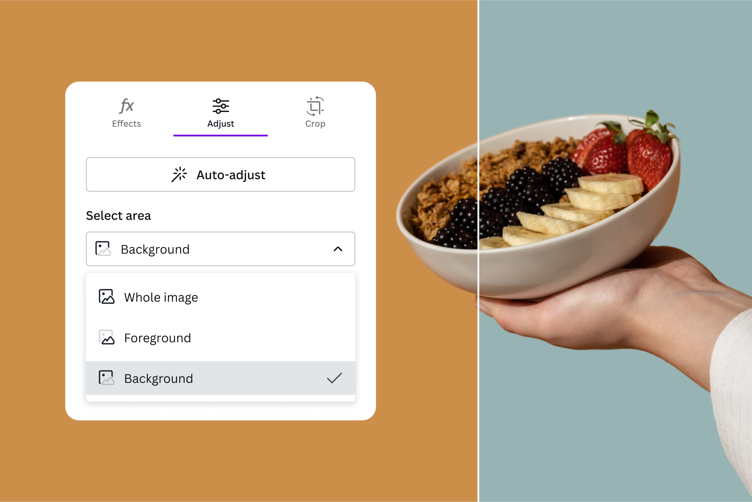 Resmin Arka Plan Rengini Değiştirme | Canva