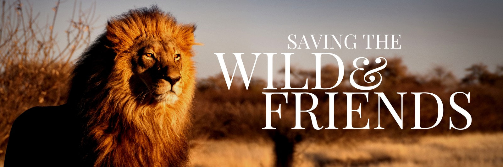 Free Twitter Header Maker - Canva