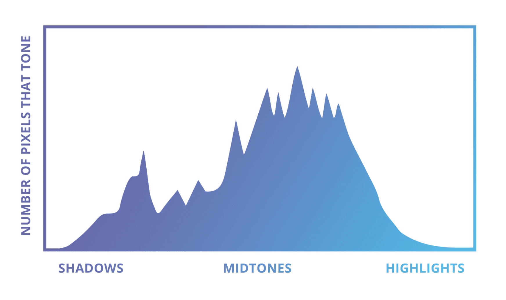 The ultimate guide to improving your photography