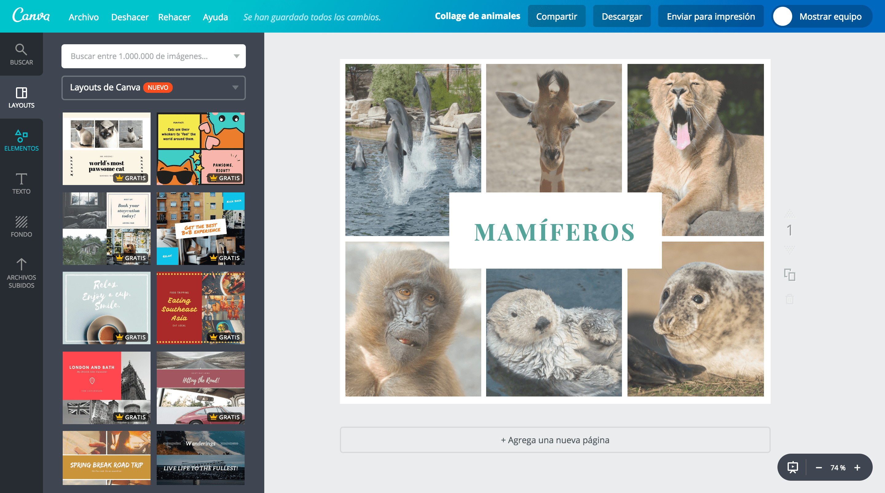 Crea un collage de animales online gratis - Canva