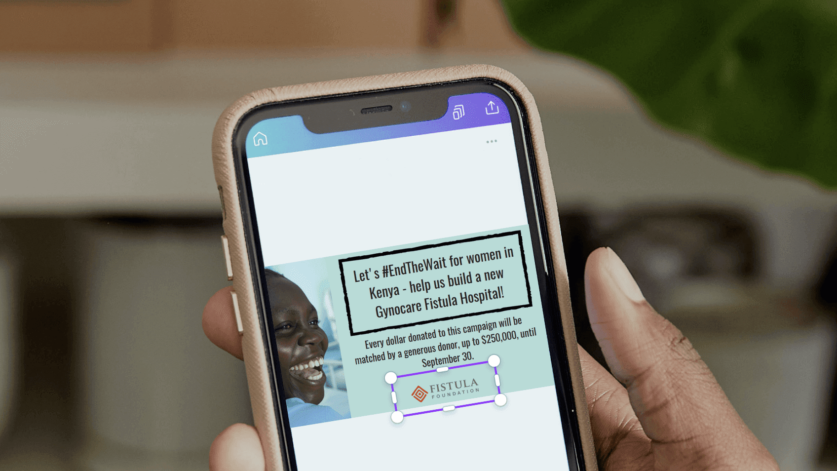 Fistula Foundation Logo