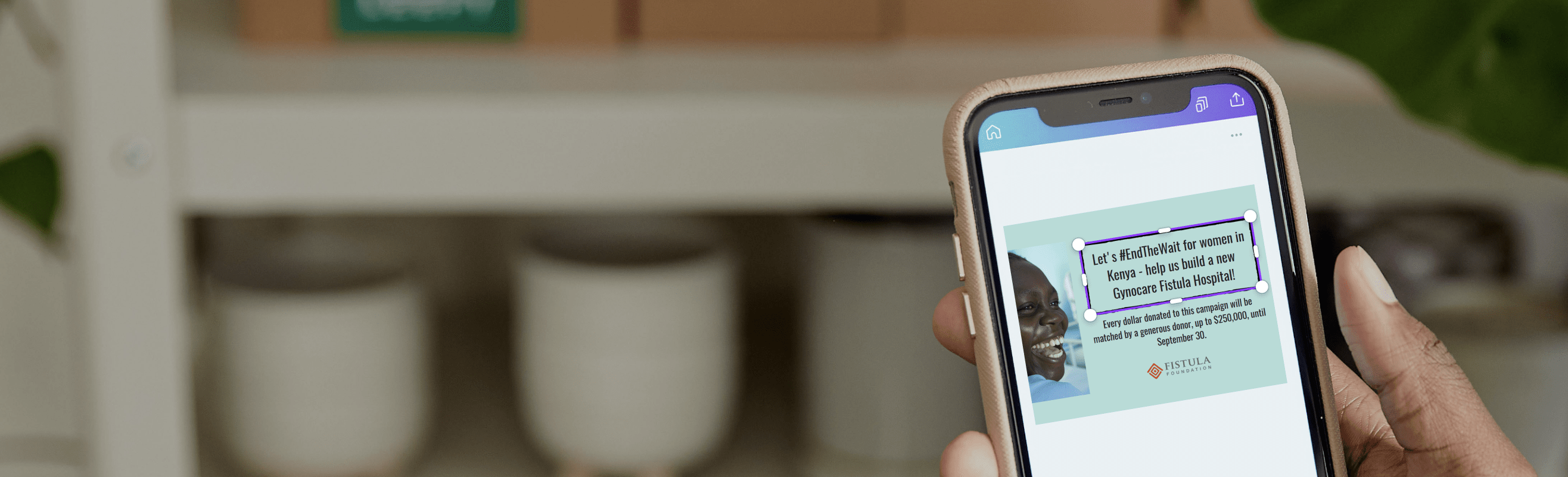 Fistula Foundation Logo How The Fistula Foundation Chases A Singular