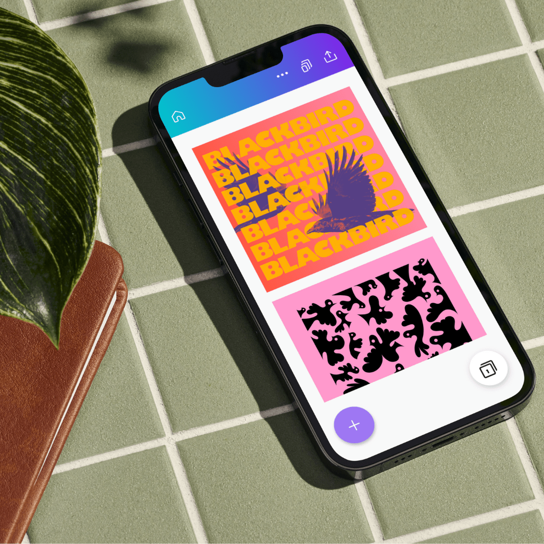 How Blackbird transformed their business and culture with Canva
