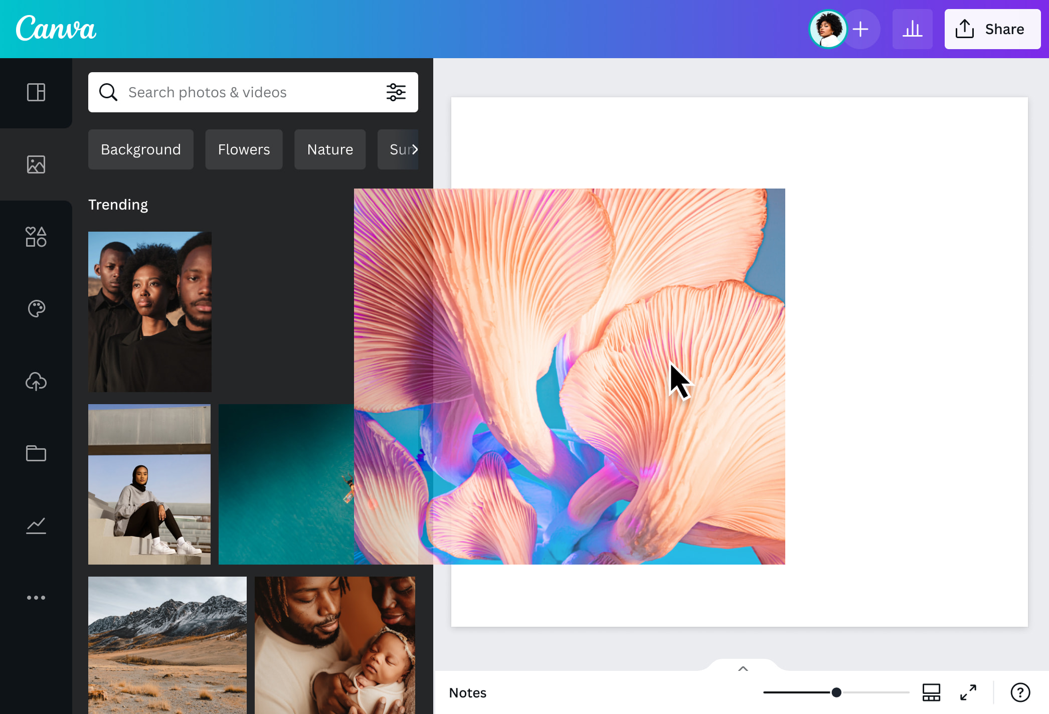 Gratis stock foto | Royalty Free, zonder watermerk | Canva