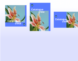 Canva Création : une ère de marque