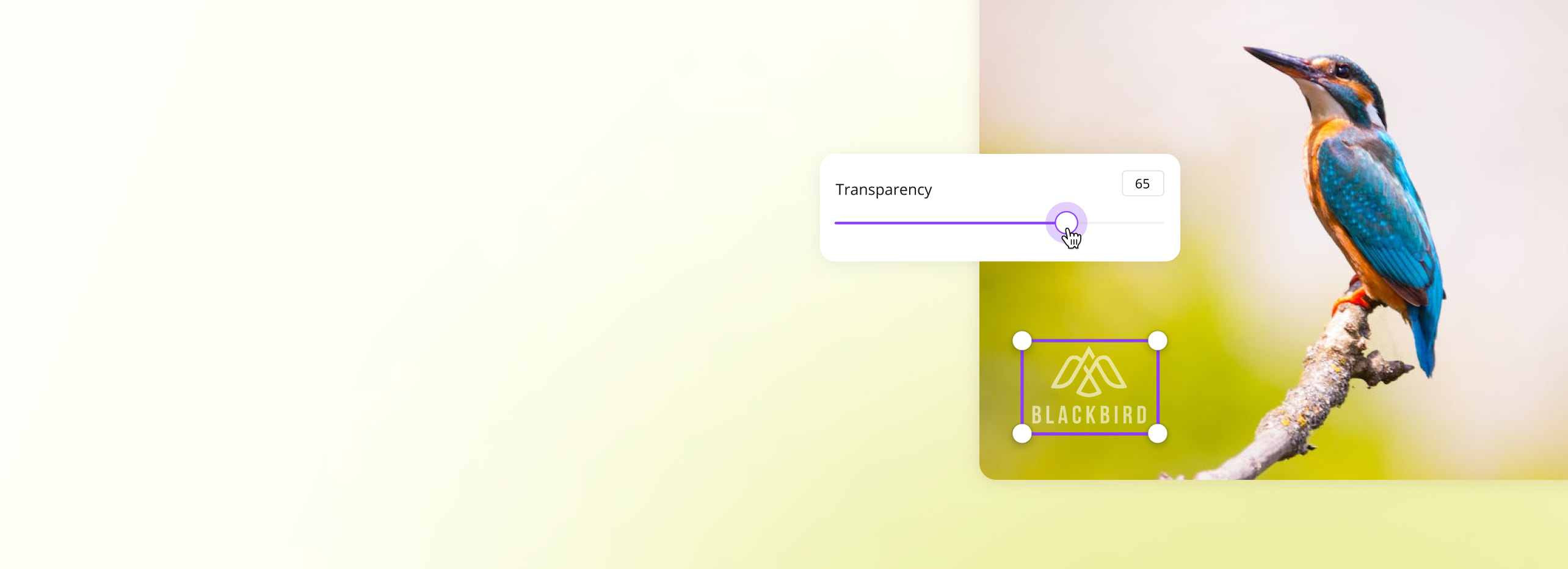 Filigrana foto - Aggiungi un watermark alle foto gratis online | Canva