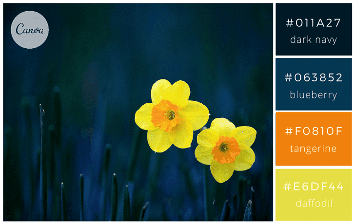 100 Kombinasi Warna Brilian dan Cara Menggunakan pada Desain - Canva