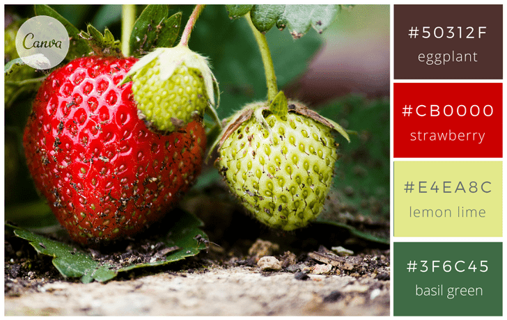 100 Kombinasi Warna Brilian dan Cara Menggunakan pada Desain - Canva