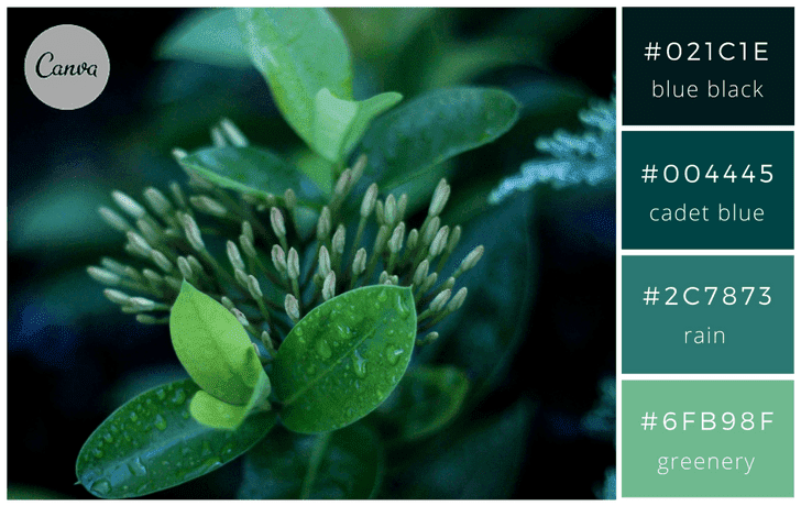 100 Kombinasi Warna Brilian dan Cara Menggunakan pada Desain - Canva