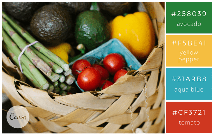 100 Kombinasi Warna Brilian dan Cara Menggunakan pada Desain - Canva