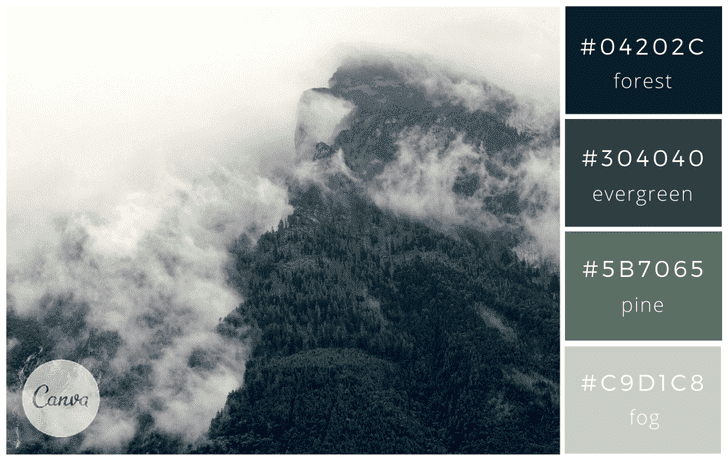 100 Kombinasi Warna Brilian dan Cara Menggunakan pada Desain - Canva