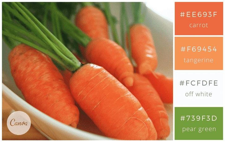 100 Kombinasi Warna Brilian dan Cara Menggunakan pada Desain - Canva