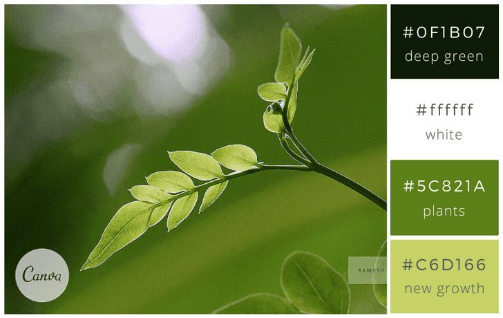 100 Kombinasi Warna Brilian dan Cara Menggunakan pada Desain - Canva