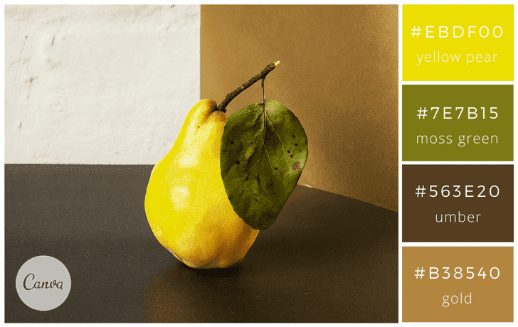 100 Kombinasi Warna Brilian dan Cara Menggunakan pada Desain - Canva