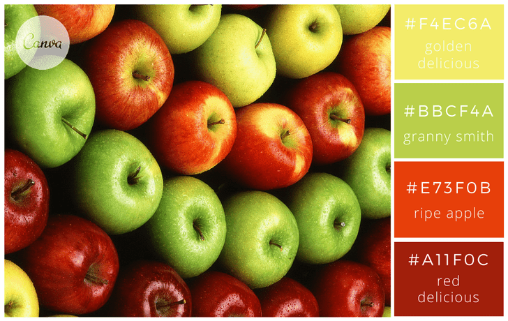 100 Kombinasi Warna Brilian dan Cara Menggunakan pada Desain - Canva