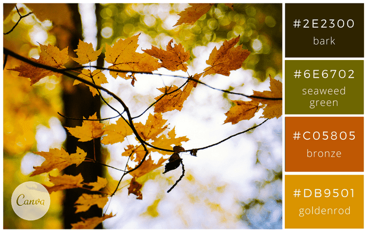 100 Kombinasi Warna Brilian dan Cara Menggunakan pada Desain - Canva