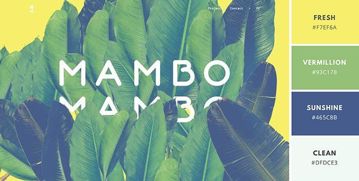 Skema Warna: 50 Palet dari Situs dengan Visual yang Menarik - Canva