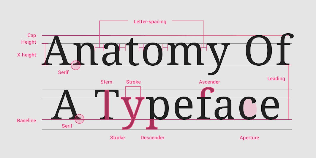 Everything you need to know about fonts