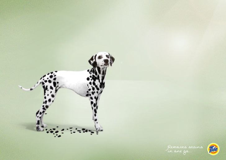 71 Iklan yang Menarik & Cerdas untuk Inspirasi Anda | Canva