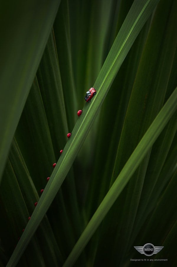 75 creative advertising examples that drive engagement | Canva