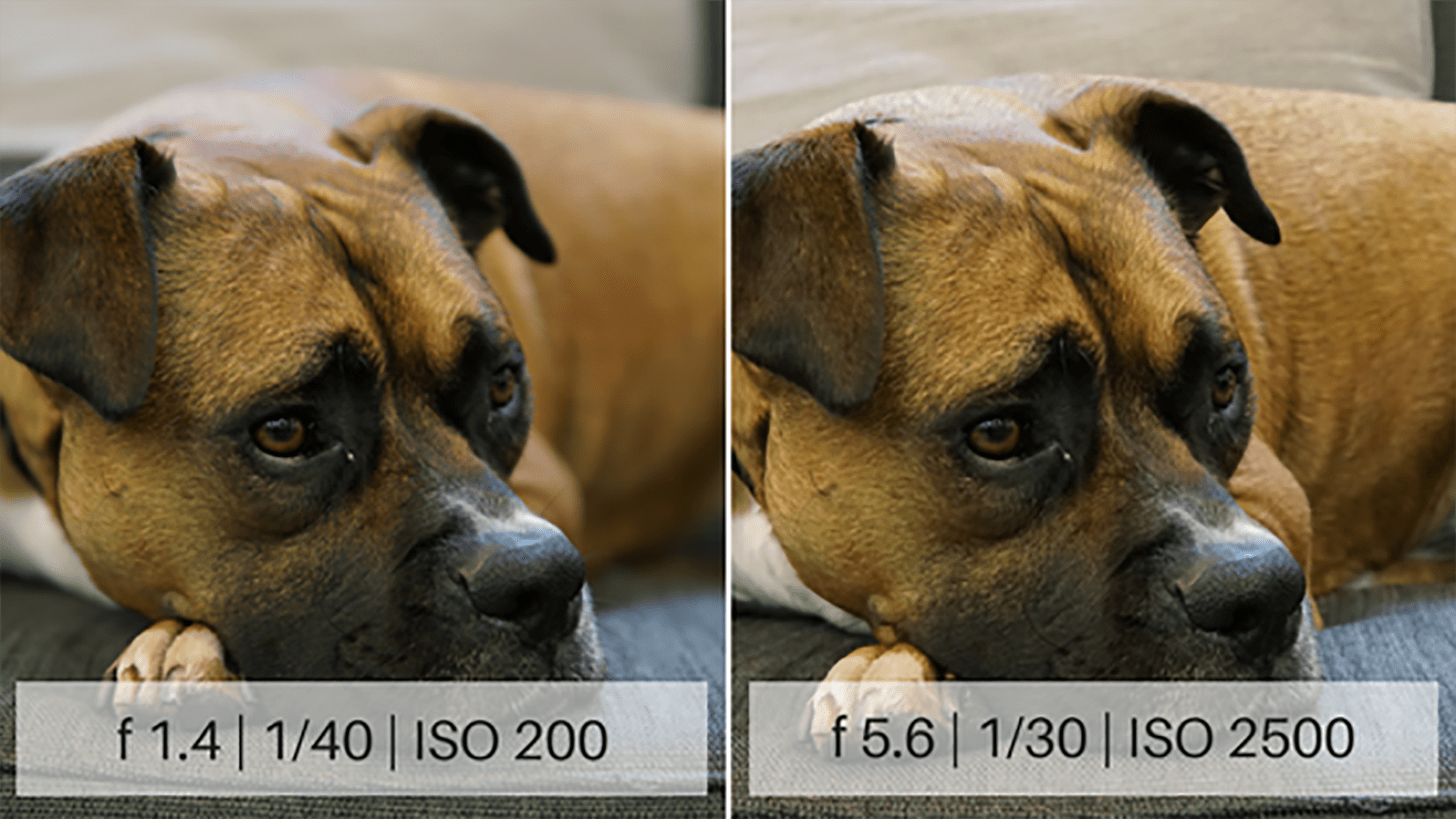 The ultimate guide to improving your photography