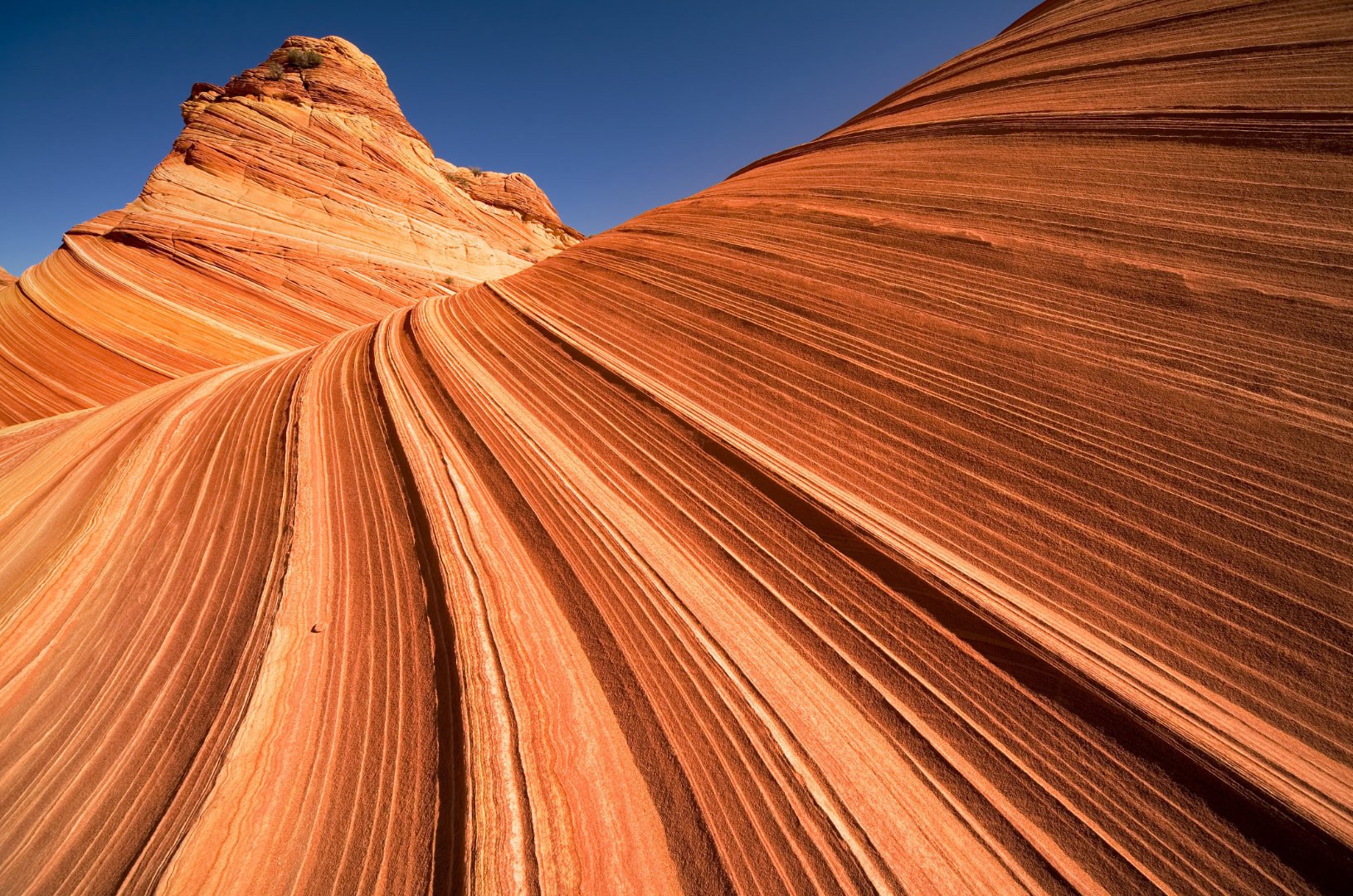 The ultimate guide to improving your photography