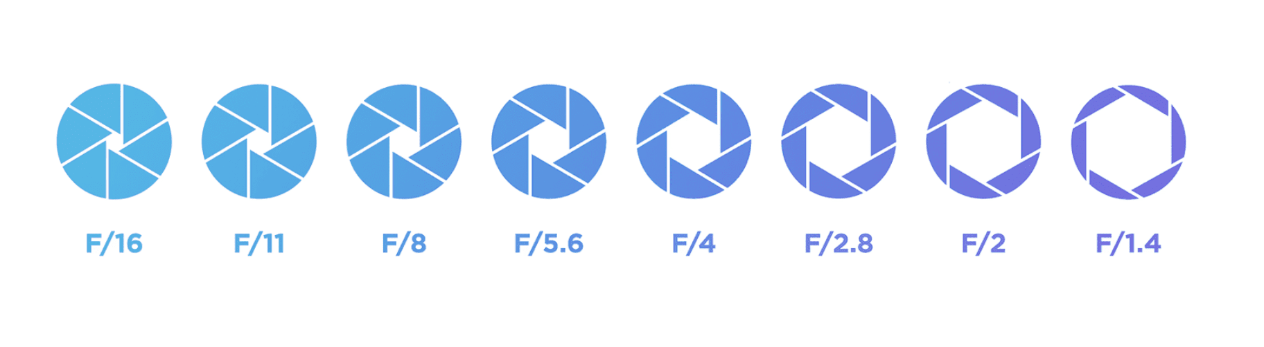 The ultimate guide to improving your photography