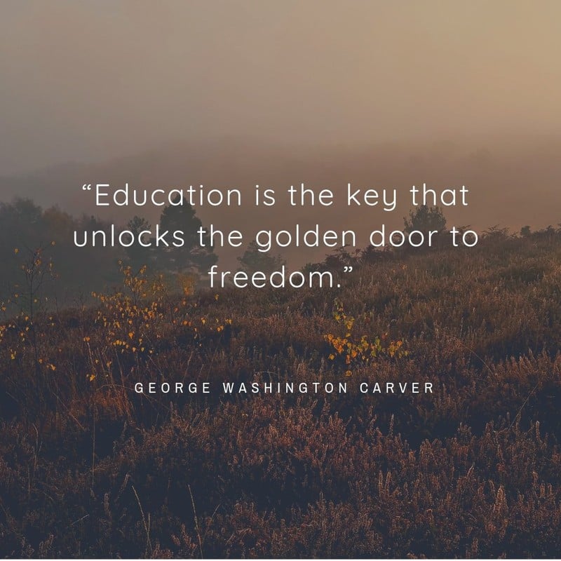 Education System Failure Quotes