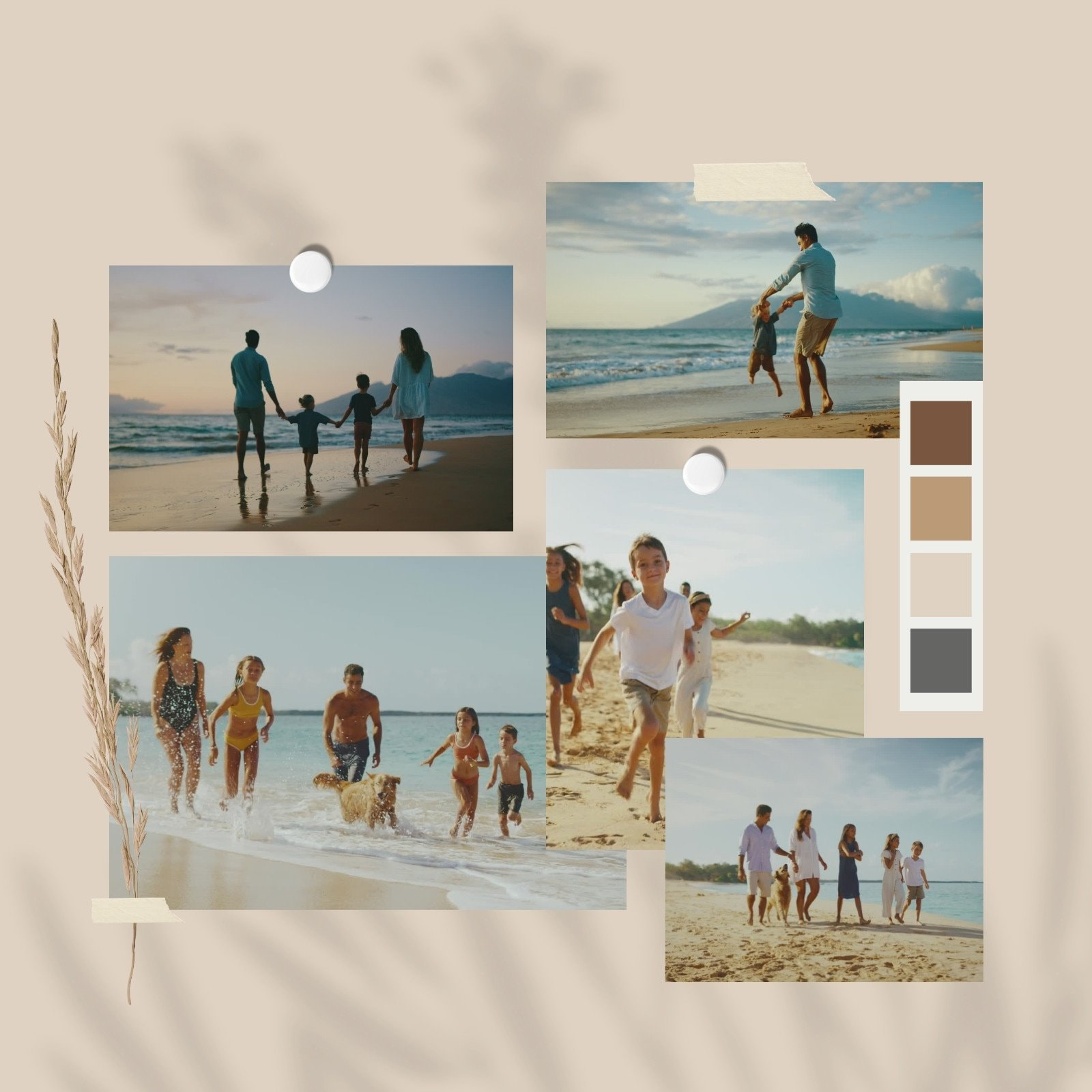 Creador de montajes online gratis | Canva