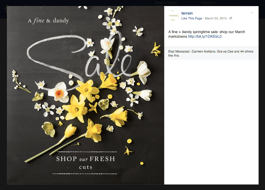 Spring design: 30 tips & examples to inspire your spring-themed social ...