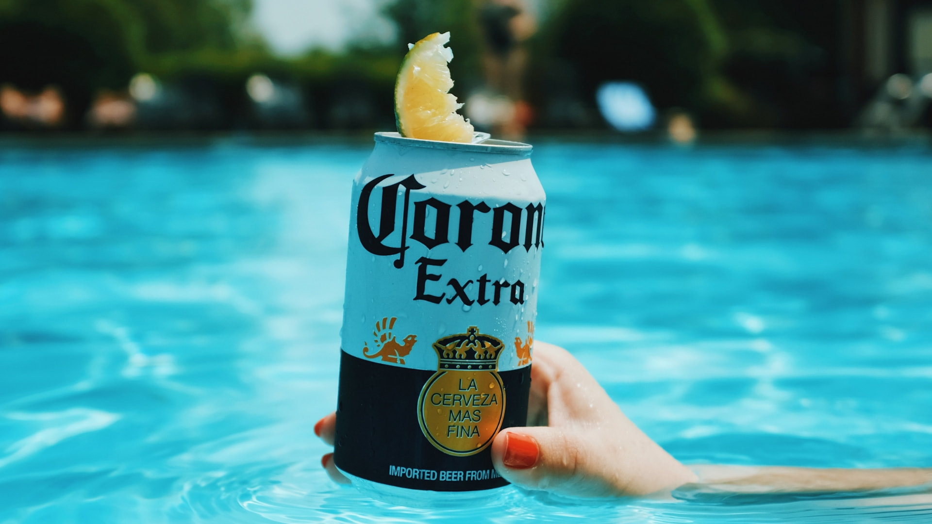 18 logotipos de marcas mexicanas y cómo han evolucionado