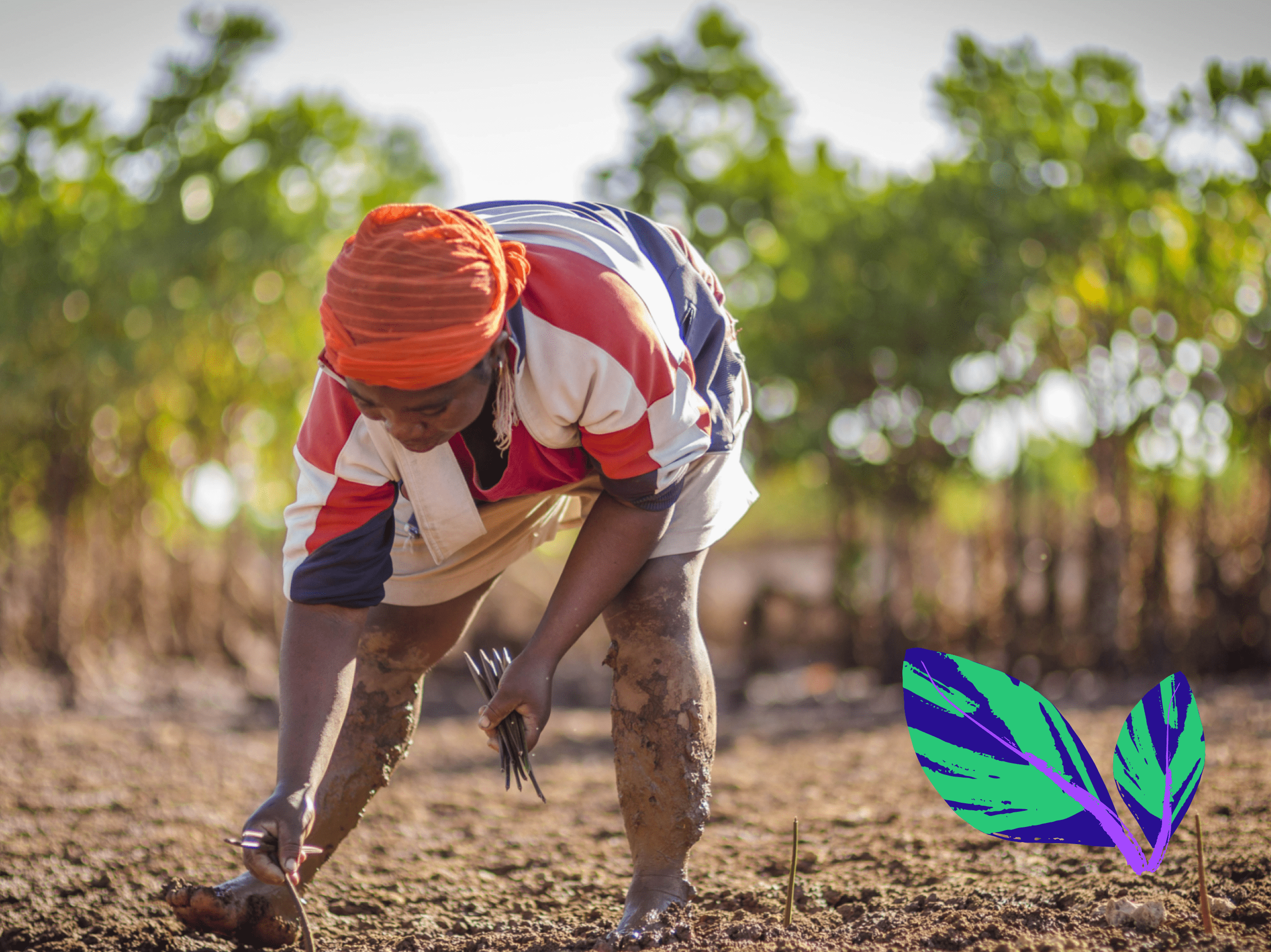 Canva’s sustainability practices and goals