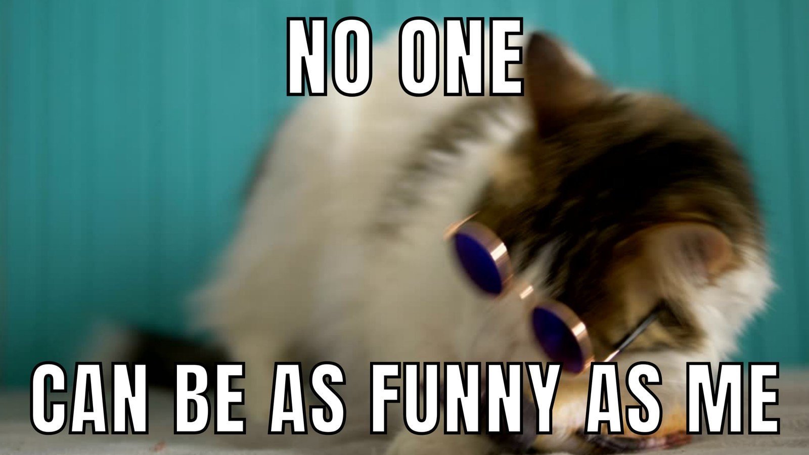 Funny Pictures Without Captions