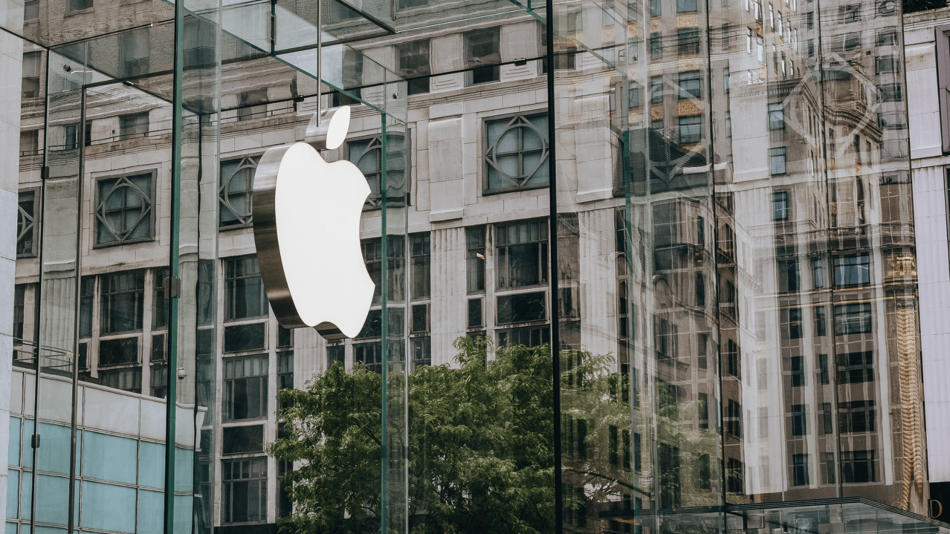 Les 10 types de logos : notre guide pour tout comprendre | Canva