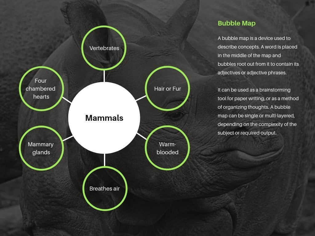 Diseña increíbles mapas de burbujas online gratis - Canva