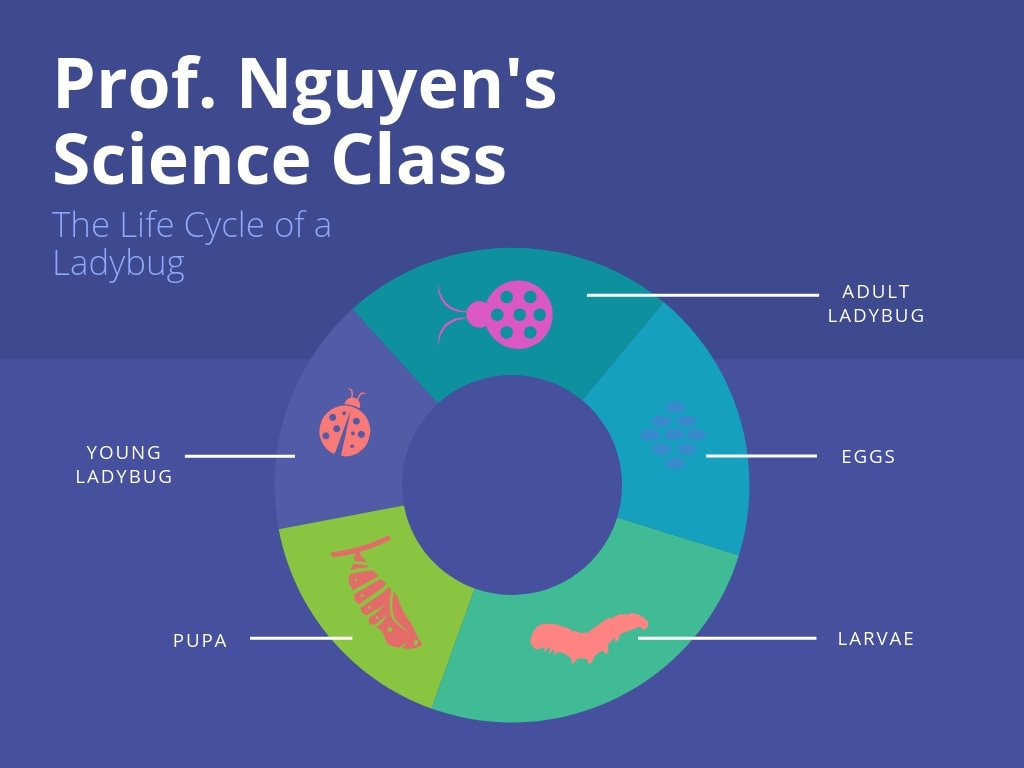 Diseñá un diagrama de ciclos gratis - Canva