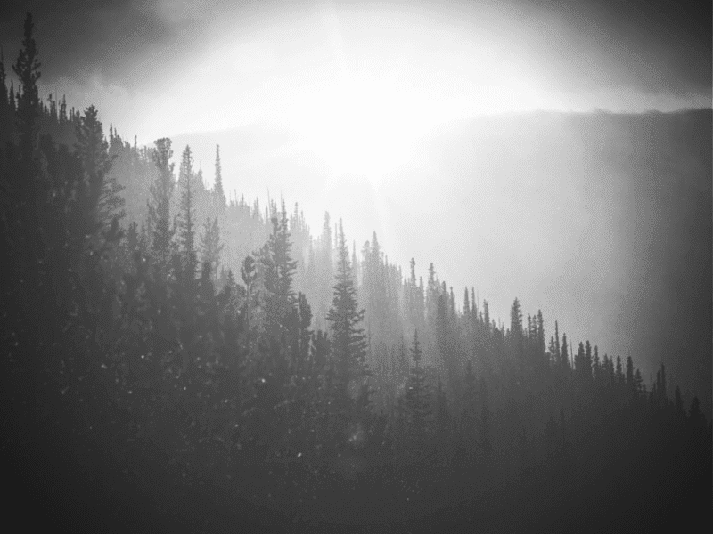 Menambahkan Efek Vignette pada Gambar - Canva