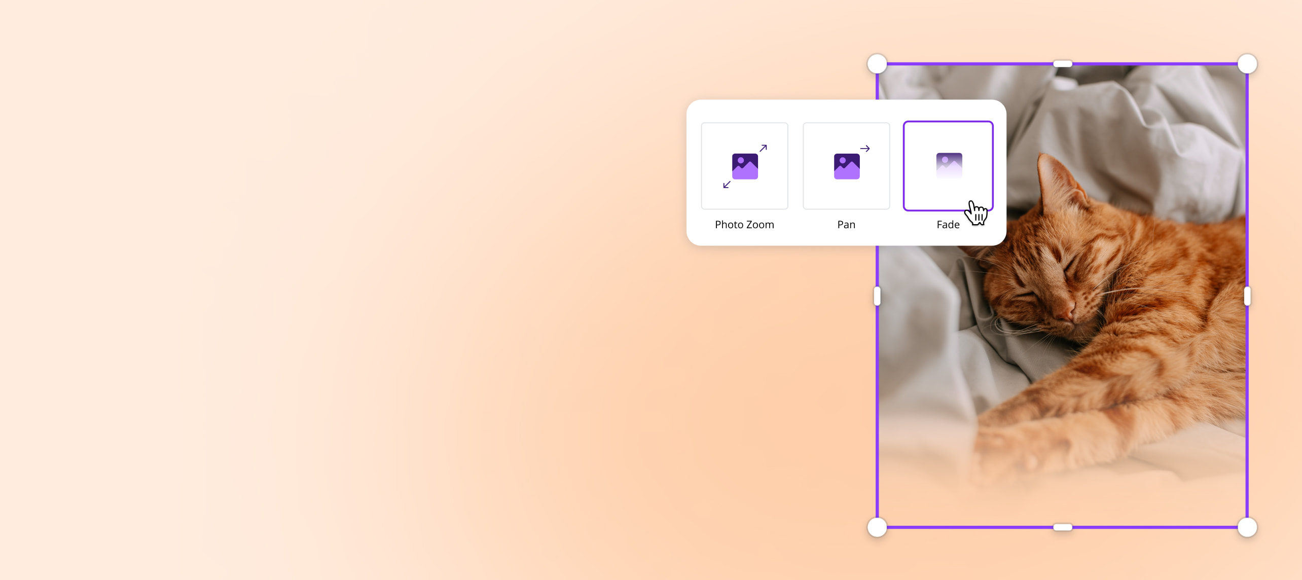 Foto animatie maken | Animeer je foto's gratis online | Canva